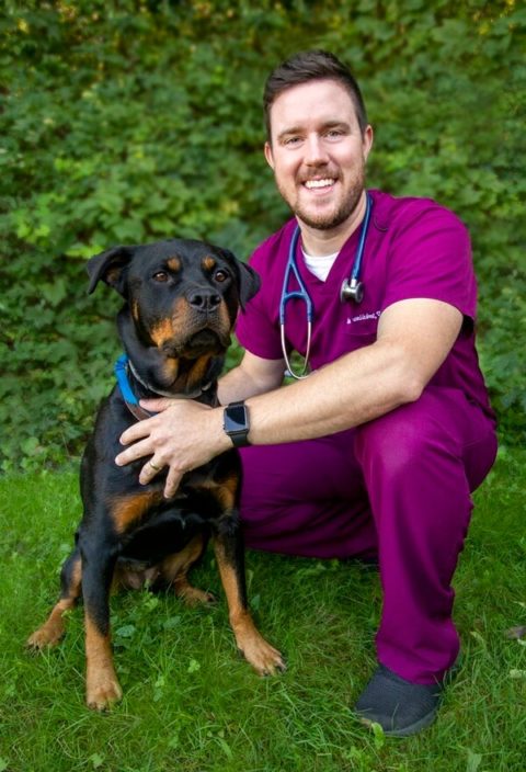 Veterinarian In Troy, NY 12180 | Troy Veterinary Hospital