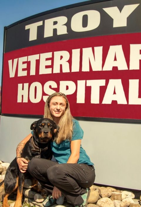 Veterinarian In Troy, NY 12180 | Troy Veterinary Hospital