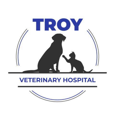 Best Vet Hospital In Troy, NY | Troy Veterinary Hospital